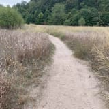 Treat Farm Trail, Michigan - 1,057 Reviews, Map | AllTrails