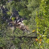 Ellison Creek Cascades, Arizona - 612 Reviews, Map | AllTrails