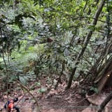 Bukit Dinding via Kazumi Trail, Kuala Lumpur, Malaysia - 220 Reviews ...
