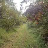 Morgan Run Natural Environmental Area Trails, Maryland - 405 Reviews ...