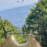 Haystack Mountain Trail, Vermont - 2,292 Reviews, Map | AllTrails