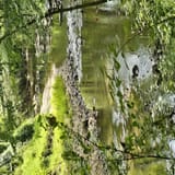 Rachel Carson Greenway and Northwest Branch Trail, Maryland - 1,426 ...