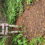 Mount Mark via Horne Lake Hustle, British Columbia, Canada - 683 ...