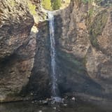 Grotto Falls Trail, Utah - 938 Reviews, Map | AllTrails
