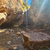 Grotto Falls Trail, Utah - 938 Reviews, Map | AllTrails