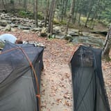 Old Loggers Path, Pennsylvania - 683 Reviews, Map | AllTrails