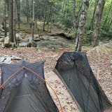 Old Loggers Path, Pennsylvania - 683 Reviews, Map | AllTrails