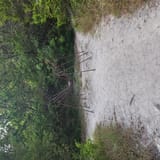 Oak Cliff Full Loop, Texas - 754 Reviews, Map | AllTrails