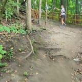 Moore Park Ravine Trail, Ontario, Canada - 1,326 Reviews, Map | AllTrails