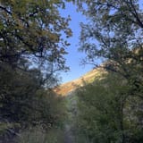 Spring Canyon Trail, Utah - 400 Reviews, Map | AllTrails