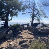 Mount Falcon Castle Trail Loop, Colorado - 4,813 Reviews, Map | AllTrails