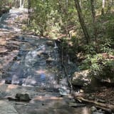 Fall Branch Falls Trail, Georgia - 1,409 Reviews, Map | AllTrails
