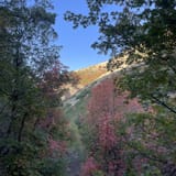 Spring Canyon Trail, Utah - 400 Reviews, Map | AllTrails
