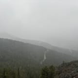 Dunraven Pass to Mount Washburn, Montana - 2,137 Reviews, Map | AllTrails