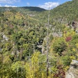 Babel Tower Trail (240), North Carolina - 1,035 Reviews, Map | AllTrails