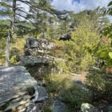 Babel Tower Trail (240), North Carolina - 1,035 Reviews, Map | AllTrails