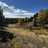 Cheesman Ranch Trail, Colorado - 359 Reviews, Map | AllTrails