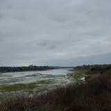 Back Bay Loop Trail, California - 2,410 Reviews, Map | AllTrails