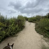 Back Bay Loop Trail, California - 2,410 Reviews, Map | AllTrails