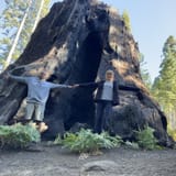Chicago Stump Trail, California - 93 Reviews, Map | AllTrails