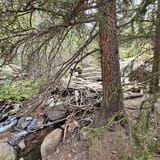 Disappointment Falls via Lady Moon Trail, Colorado - 868 Reviews, Map ...