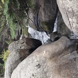 Disappointment Falls via Lady Moon Trail, Colorado - 868 Reviews, Map ...