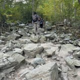 Mount Tammany and Sunfish Pond Loop, New Jersey - 1,179 Reviews, Map ...
