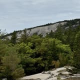 Welch-Dickey Loop Trail, New Hampshire - 7,924 Reviews, Map | AllTrails