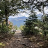 Rooster Comb Trail, New York - 1,414 Reviews, Map | AllTrails