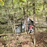 Window Cliffs Trail, Tennessee - 1,634 Reviews, Map | AllTrails