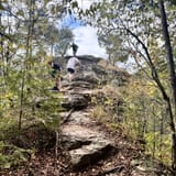 Window Cliffs Trail, Tennessee - 1,597 Reviews, Map | AllTrails