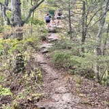 Window Cliffs Trail, Tennessee - 1,634 Reviews, Map | AllTrails