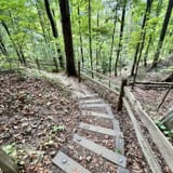 Window Cliffs Trail, Tennessee - 1,634 Reviews, Map | AllTrails