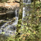 Window Cliffs Trail, Tennessee - 1,634 Reviews, Map | AllTrails