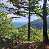 Huckleberry Point Trail, New York - 1,973 Reviews, Map | AllTrails