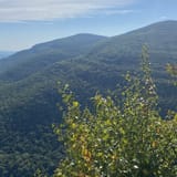 Huckleberry Point Trail, New York - 1,973 Reviews, Map | AllTrails