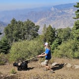 Boole Tree Loop, California - 194 Reviews, Map | AllTrails