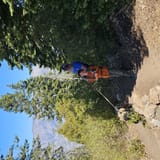 Boole Tree Loop, California - 193 Reviews, Map | AllTrails