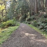 Clatsop Loop Trail from Indian Beach, Oregon - 3,241 Reviews, Map ...