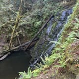 Dickerson Falls, Washington - 2,832 Reviews, Map | AllTrails
