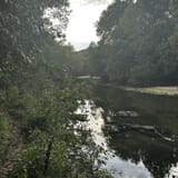 Roubidoux Park, Roy Laughlin Park, and Roubidoux Spring, Missouri - 81 ...