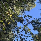 Sypes Canyon, Montana - 1,494 Reviews, Map | AllTrails