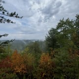 Koomer Ridge Trail, Kentucky - 635 Reviews, Map | AllTrails