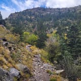 Mosca Pass Trail, Colorado - 842 Reviews, Map | AllTrails