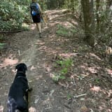 Bear Creek and Pinhoti Loop, Georgia - 603 Reviews, Map | AllTrails