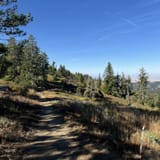 Bogus Basin Loop Trail, Idaho - 252 Reviews, Map | AllTrails