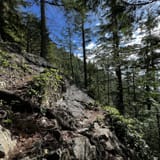 Grouse Grind Trail, British Columbia, Canada - 8,362 Reviews, Map ...