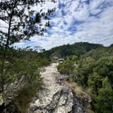 Window Cliffs Trail, Tennessee - 1,634 Reviews, Map | AllTrails