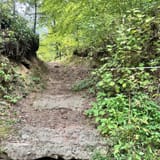Window Cliffs Trail, Tennessee - 1,597 Reviews, Map | AllTrails