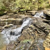 Window Cliffs Trail, Tennessee - 1,597 Reviews, Map | AllTrails